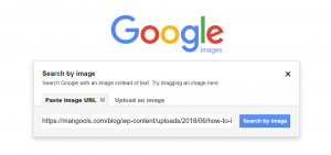 60+ Link Building Techniques You Can Try in 2024 | Mangools