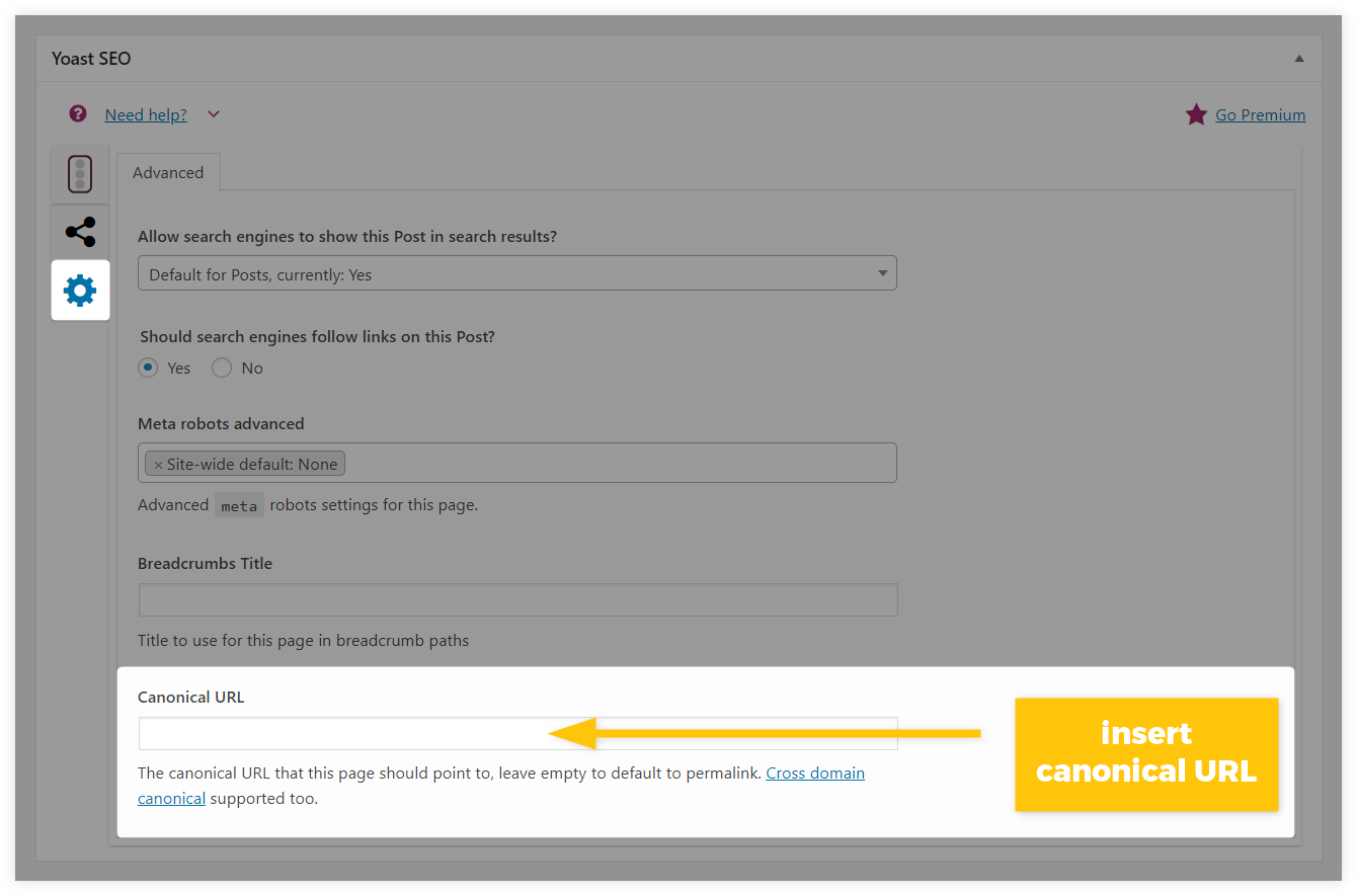 What Is Canonical Tag Its Benefits For SEO What Why Guide