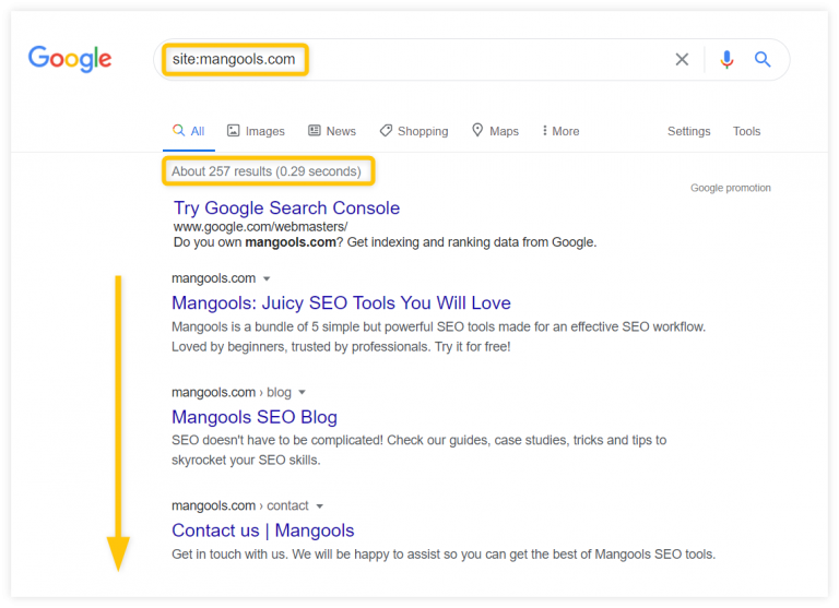 Crawling & Indexing: How Google Checks Websites? | Mangools