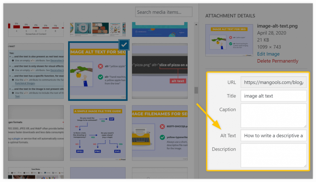 Image Alt Text: Why It Is Important for SEO? | Mangools